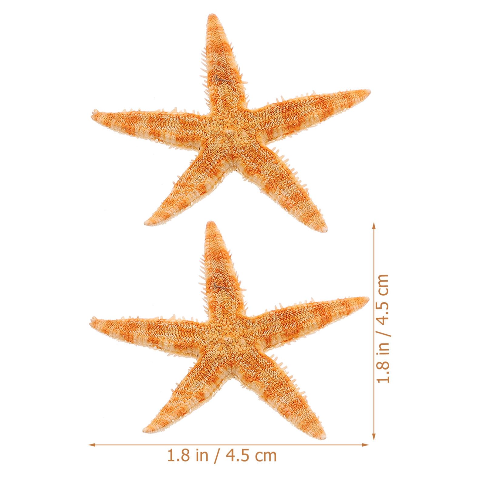 SEWACC 100pcs Ocean Beach Natural Seashells Sea Stars Nautical Fish Tank Aquarium Decor Table Scatter Vase Fillers for Christmas Tree Ornament Wedding