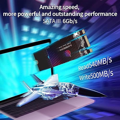 GAMERKING M.2 2260 SSD 1TB NGFF SATA III 6Gb/s 3D NAND TLC Internal Solid State Drive, B&M Key High Performance M.2 SSD for Desktop Laptop
