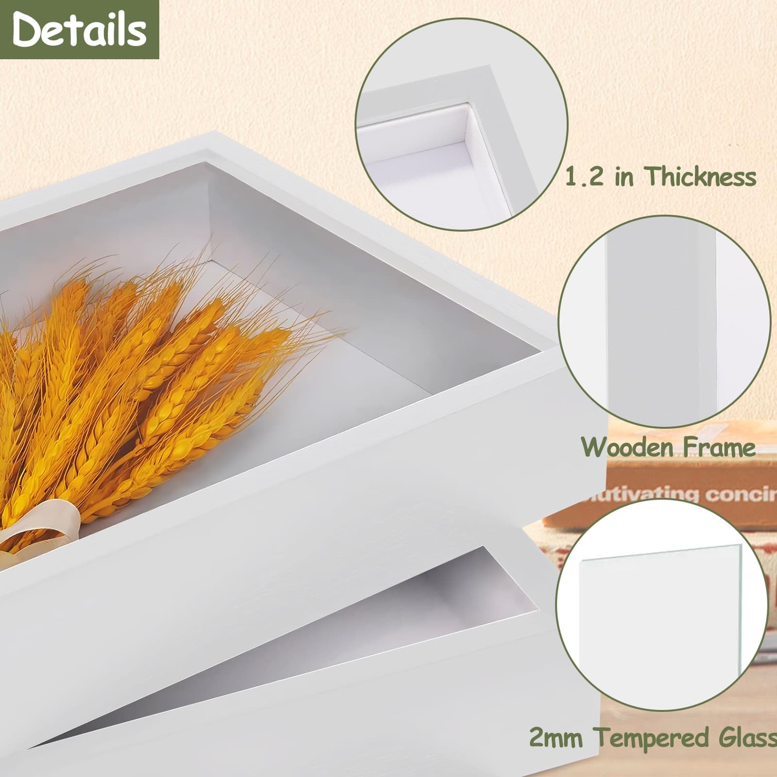 Shadow Box Frame Display Cases 8x10 - 3 Pack Deep Shadowbox Picture Frame with Galss 3D Display Wood Shadow Box Frame with Line Board