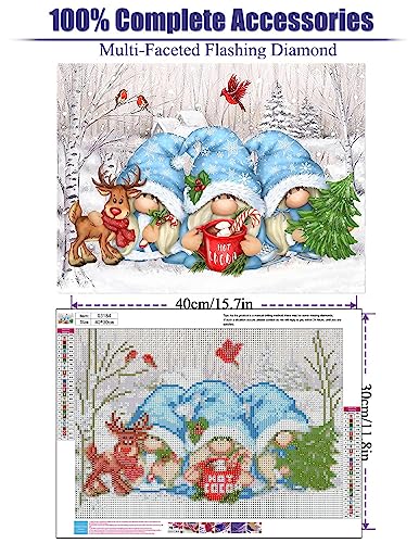 cupmod Christmas Diamond Painting Kits for Adults,Gnome Diamond Art Kits for Adults,5D DIY Full Drill Xmas Gnome Diamond Dots Kits Crystal Rainstone Gem Art for Home Wall Decor 12x16inch