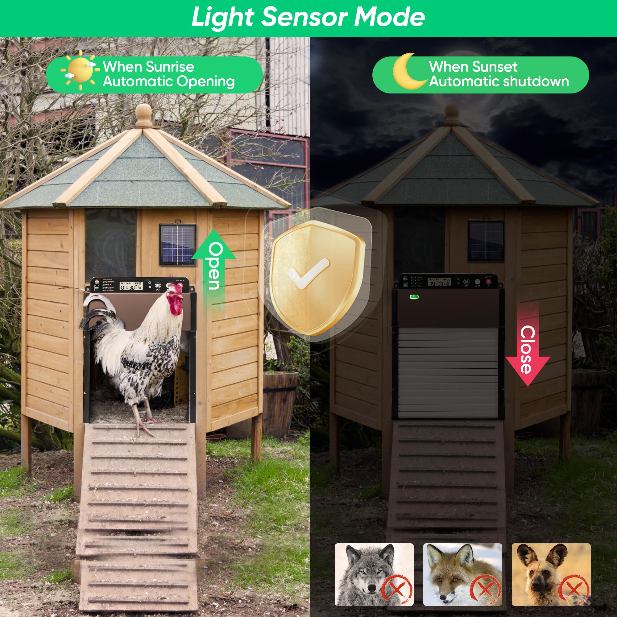 Automatic Chicken Coop Door - Solar Chicken Door with Timer, Light Sensor, Anti-Trap, Remote Control, Full Aluminum and Weatherproof, Anti-Pinch Design for Chickens Ducks Farms