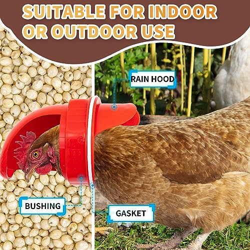 Chicken Feeder and Chicken Drinker Set and(Chicken Leg Bands 20 Pack),Automatic Poultry Feeder Kit for Chickens,Birds,Turkeys Etc,Leak-Proof and Sun-Proof Chicken Feeder Chicken Water Cups (6pc, red)