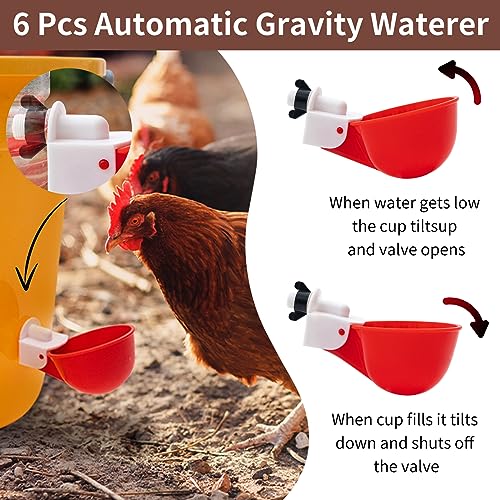 Chicken Feeder and Chicken Drinker Set and(Chicken Leg Bands 20 Pack),Automatic Poultry Feeder Kit for Chickens,Birds,Turkeys Etc,Leak-Proof and Sun-Proof Chicken Feeder Chicken Water Cups (6pc, red)