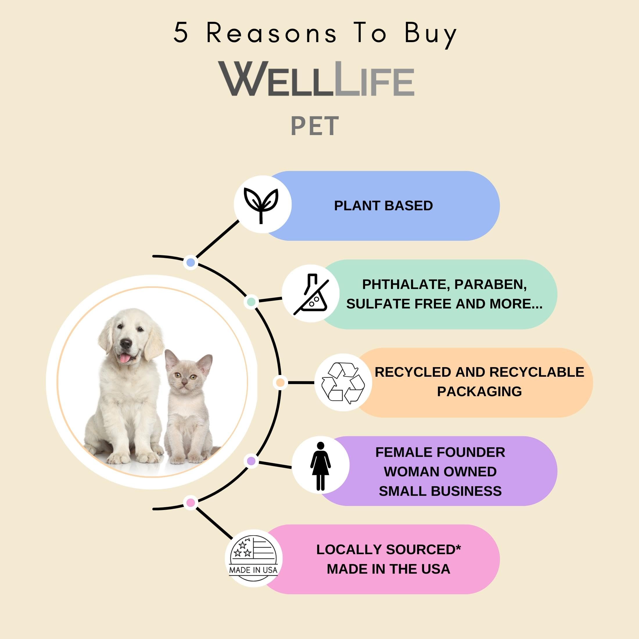 Well Life Plant-Based Upholstery & Carpet Cleaner - Cleans Daily Dirt, Grime, Great for Dog and Cat Owners, Homes with Small Children