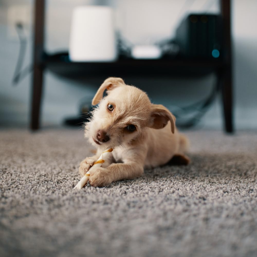 Well Life Plant-Based Upholstery & Carpet Cleaner - Cleans Daily Dirt, Grime, Great for Dog and Cat Owners, Homes with Small Children