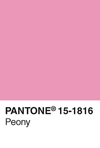 Pantone Postcard Box: 100 Postcards (Pantone Color Chip Card Set, Art Postcards)