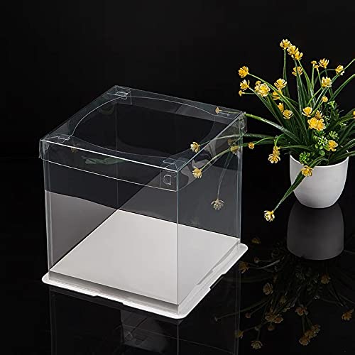 XININSUN 6Pcs Tall Cake Boxes PET Clear cake Box with Ribbon, 8 X 8 X 9inch for Bakery Boxes Cupcake Boxes Pie Cookies Boxes,Clear Gift Boxes with Lid for Carry Tall Layer Gift-White