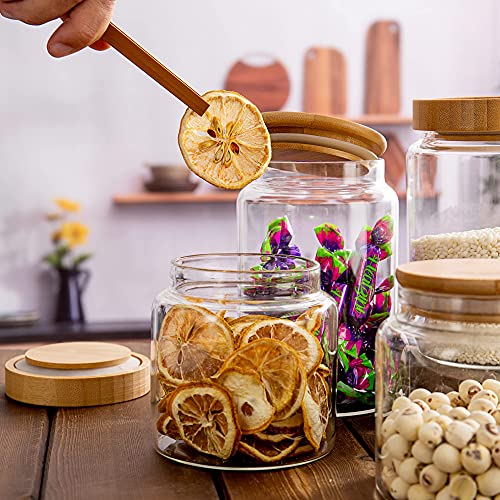 MOLADRI 480ML/16Oz Clear Cute Glass Storage Canister Holder with Airtight Bamboo Lid, Modern Decorative Small Container Jar for Coffee, Spice, Candy, Salt, Cookie, Condiment, Pepper, Sugar