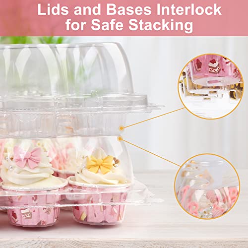 LotFancy Mini Cupcake Containers, 24 Count, 12 Pack Plastic Cupcake Holder with 288 Cupcake Liners, Clear Disposable Mini Cupcake Carriers with Detachable Dome Lid