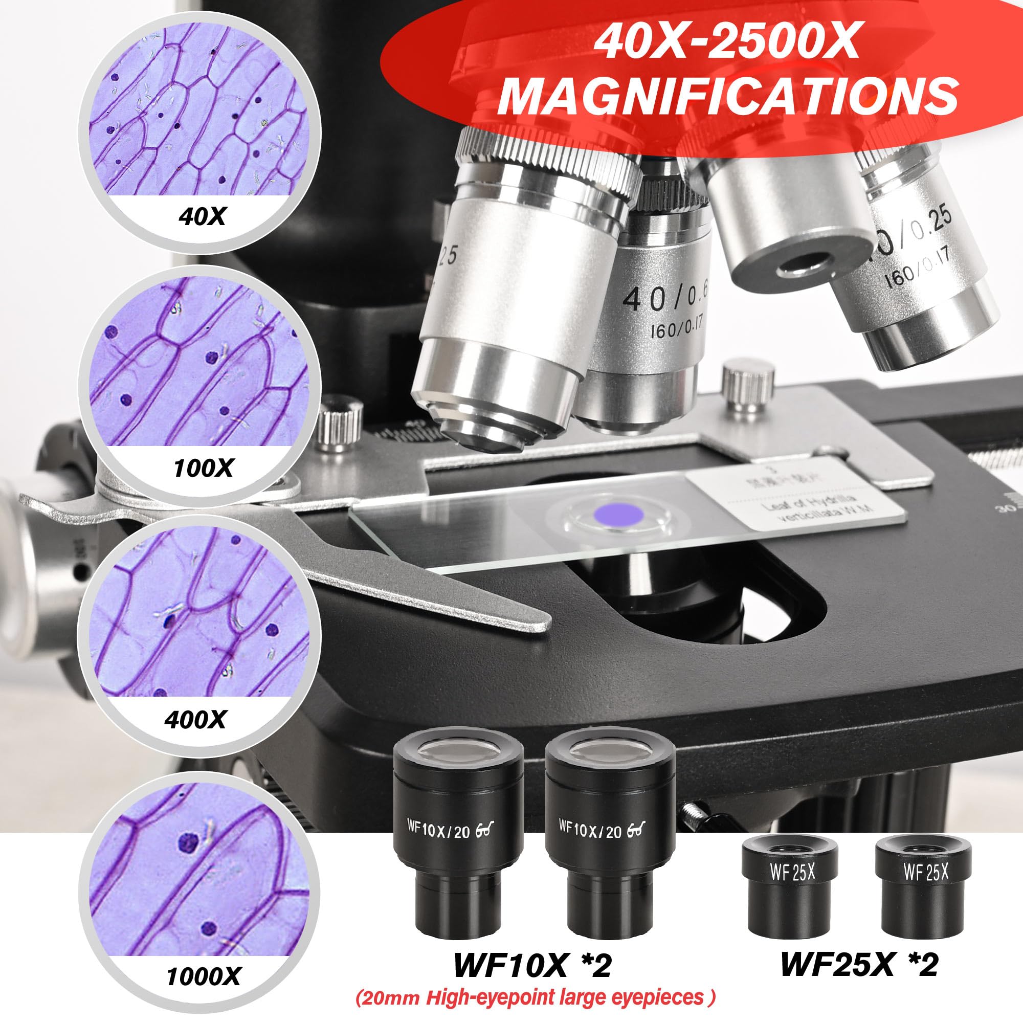 HSL Compound Trinocular Microscope Professional,40x-2500x Biological Microscopes for Adults Laboratory,Micro Scope microscopepio 1000x 400X LED WF10x and WF25x eyepieces Abbe Condenser