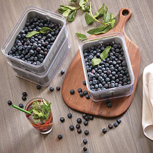 iDesign Recycled Plastic Crisp Produce Storage Containers with Lid and Colander Basket Designed to Keep Food Fresh Longer, 8.32β x 6.32β x 3.76β, Clear/Gray