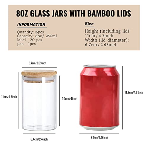 TANGLONG Glass Jars With Bamboo Lids Set, Glass Jars With Wood Lids 8 oz, Large Spice Jars, Glass Storage Containers For Pantry , Cookie, And Coffee SET OF 16