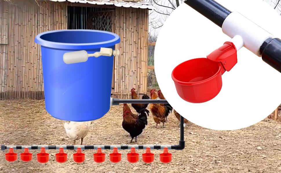 Complete Set of Chicken Waterer and 1/2" PVC T-Pieces, Chicken Waterer Feeder Duck Quail Feeder, Automatic Chicken Watering System, Chicken Nipple Water Cup, Chicken Watering Cups