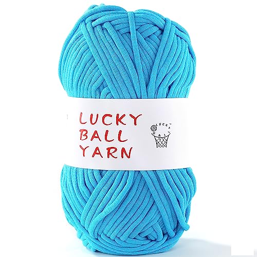Yarn for Crocheting,100g Soft Yarn for Crocheting,Crochet Yarn for Sweater,Hat,Socks,Blankets(Blue)