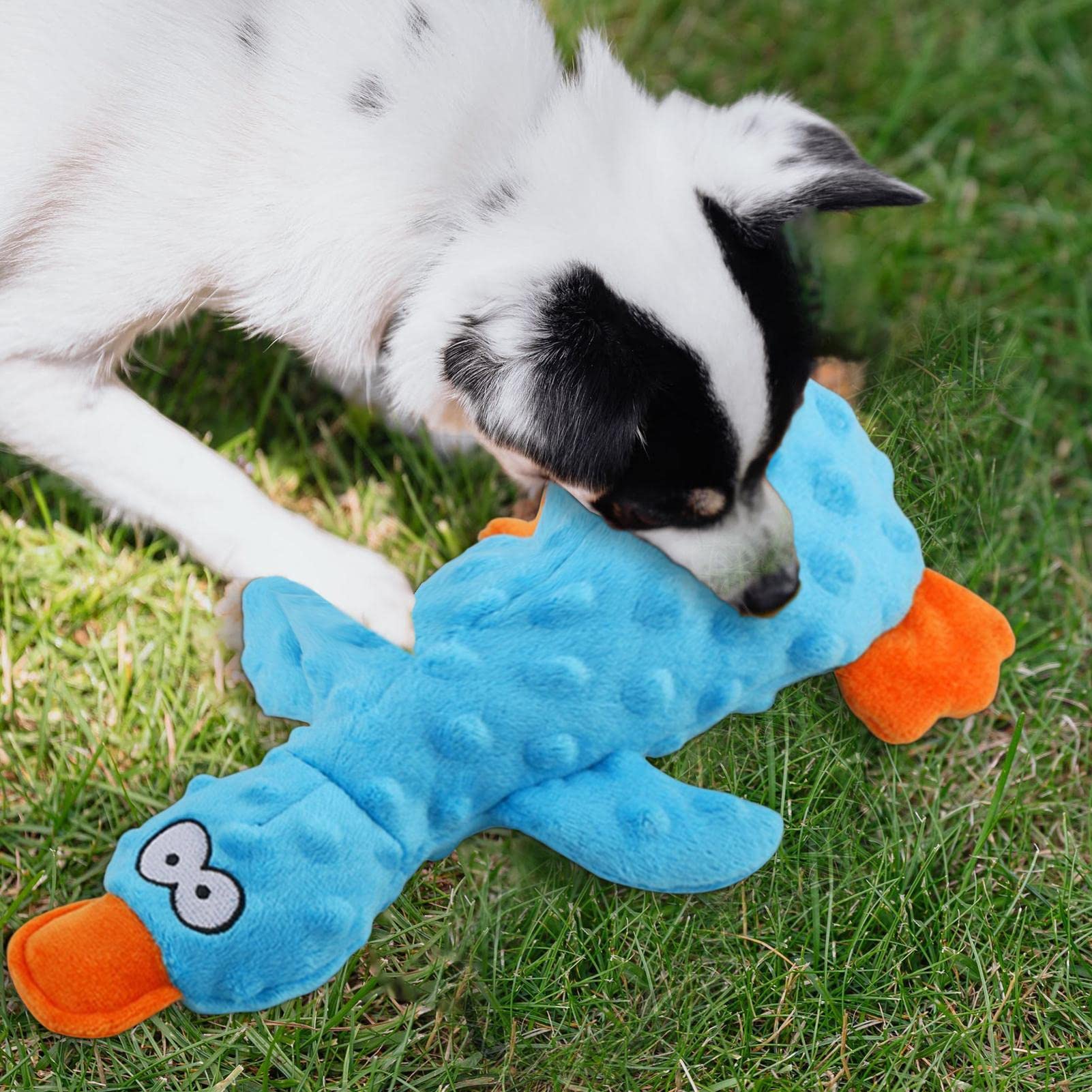Qmisify Stuffed Duck Dog Toy,Multi-pet Pet Toy - Keep Mouth Clean Squeak Pet Toy Yellow Duck Interactive Play for Small Medium Dogs Breeds