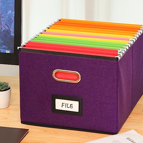 EOOUT File Folder Organizer - 1 Pack, Hanging File Storage Box with Handles