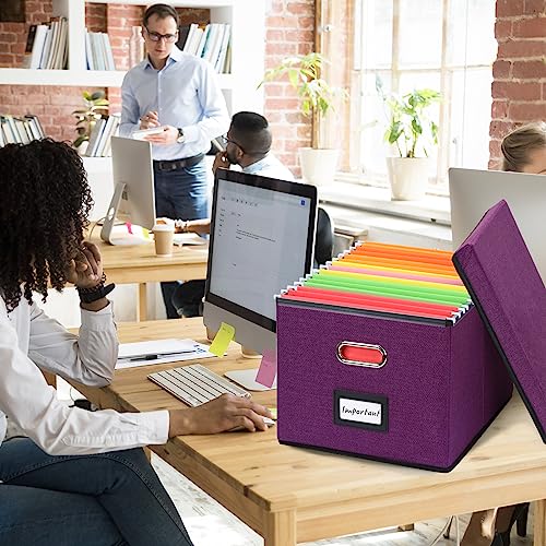 EOOUT File Folder Organizer - 1 Pack, Hanging File Storage Box with Handles