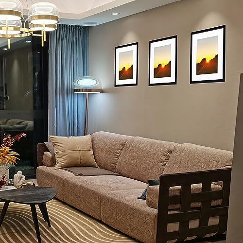 Aynoo 16x20 Poster Frame Black, Display Posters 16x20 Picture Frame Black, Display Pictures 11x14 Picture Frame,2Pack