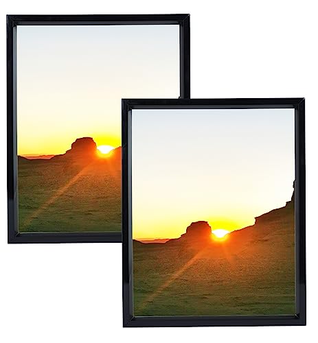 Aynoo 16x20 Poster Frame Black, Display Posters 16x20 Picture Frame Black, Display Pictures 11x14 Picture Frame,2Pack