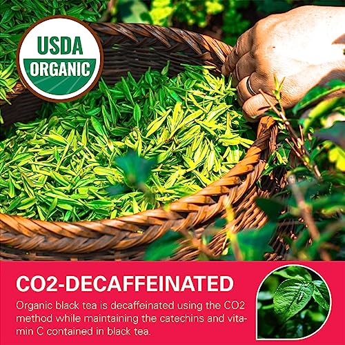WT WEETEE Organic Decaf Black Tea Bags, USDA Organic Black Tea 100 Count | Smooth & Mild Taste | CO2-Decaffeinated | Resealable Kraft Bag