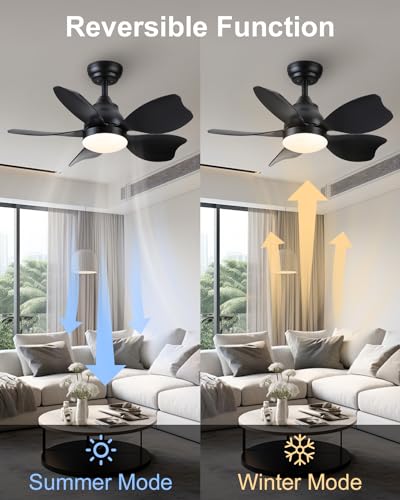 Newday 30" Ceiling Fan with Light and Remote, Small Ceiling Fans with Lights, 5 Reversible Blades 3 Colors Dimmable 6 Speed Ceiling Fan for Bedroom Kitchen Dining Room, Black Ceiling Fan with Light