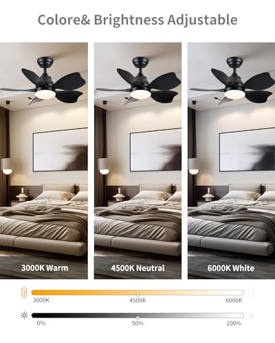 Newday 30" Ceiling Fan with Light and Remote, Small Ceiling Fans with Lights, 5 Reversible Blades 3 Colors Dimmable 6 Speed Ceiling Fan for Bedroom Kitchen Dining Room, Black Ceiling Fan with Light