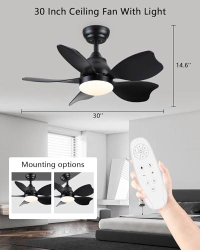 Newday 30" Ceiling Fan with Light and Remote, Small Ceiling Fans with Lights, 5 Reversible Blades 3 Colors Dimmable 6 Speed Ceiling Fan for Bedroom Kitchen Dining Room, Black Ceiling Fan with Light
