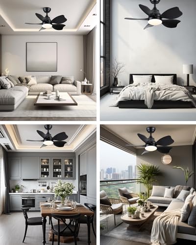 Newday 30" Ceiling Fan with Light and Remote, Small Ceiling Fans with Lights, 5 Reversible Blades 3 Colors Dimmable 6 Speed Ceiling Fan for Bedroom Kitchen Dining Room, Black Ceiling Fan with Light