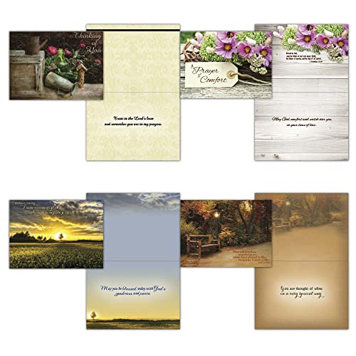 Shared Blessings 48 All Occasion Religious Greeting Cards Value Pack 2 - King James Version Scriptures - Faith Based Greeting Cards - Inspirational Thinking of You Cards with Envelopes - Assorted Designs including Religious Birthday, Thinking of You Cards