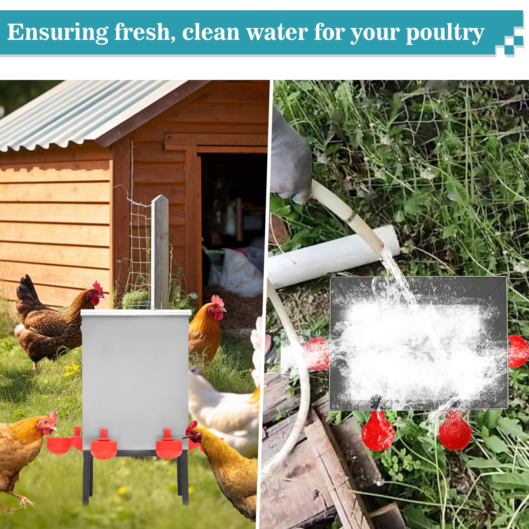 3 Gallons Chicken Waterer,Stainless Steels Automatic Chicken Waterer No Waste with Latch and Bottom Bracket,Poultry Watering 4 Water Cups Chicken Waterer and 4 Horizontal Automatic Chicken Nipples