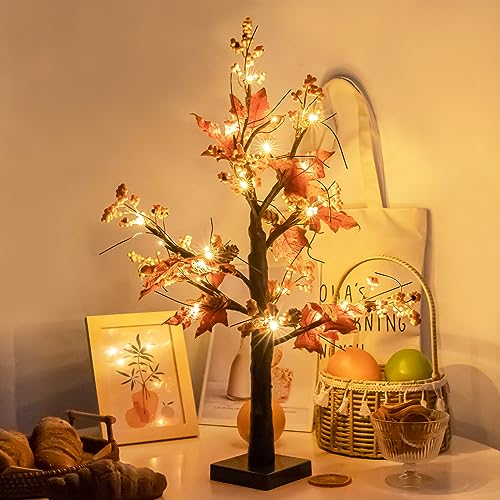 Ethlomoer 2 Pack 24 Inch Artificial Fall Maple Tree, Prelit 48 LEDs for Thanksgiving Decorations Fall Decor, Battery Operated with Timer, Lighted Autumn Tabletop Tree for Harvest Home Indoor Decor
