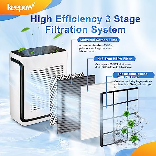 Keepow Vital 200S Replacement Filter Smoke Remover Compatible with LEVOIT Vital 200S Air Purifier 3-in-1 H13 Ture HEPA High-Efficiency Activated Carbon Air Filter Vital 200S-RF-PA 1Pack Blue
