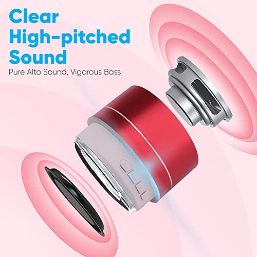 Pyle Portable Wireless BT Streaming Mini Speaker,Support Micro SD or TF Cards/USB Flash Driver/Line-in for MP3 Songs,Compatible with Audio Output Devices,with 3.5mm Audio Interface,Vigorous Bass