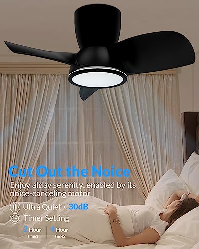 Ceiling Fan with Lights and Remote,30” Flush Mount Ceiling Fans Large Air Volume,4 Speeds,Reversible,Timer,Dimmable LED Lights,Super Quiet Low Profile Ceiling Fan with light for Bedroom Kitchen Patio.
