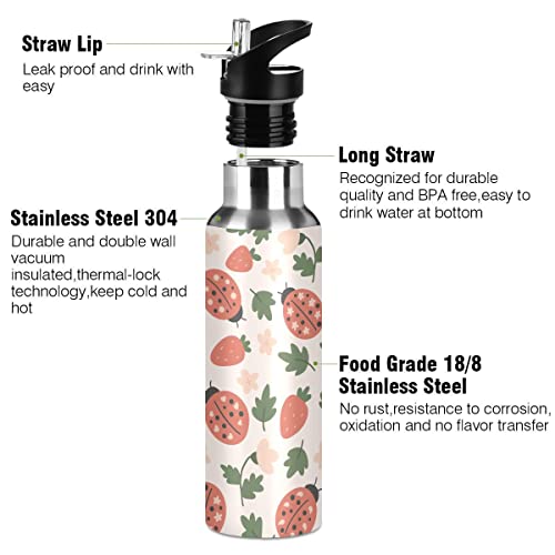 xigua Ladybug Water Bottle Double Walled Stainless Steel Leak Proof Thermo Flask for Sports Gym Cycling Outdoor,20 oz.
