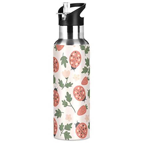 xigua Ladybug Water Bottle Double Walled Stainless Steel Leak Proof Thermo Flask for Sports Gym Cycling Outdoor,20 oz.