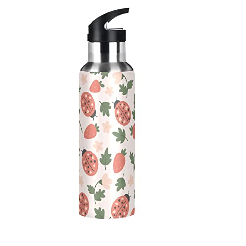 xigua Ladybug Water Bottle Double Walled Stainless Steel Leak Proof Thermo Flask for Sports Gym Cycling Outdoor,20 oz.