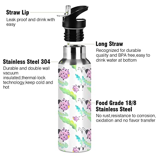 xigua Ladybug Water Bottle Double Walled Stainless Steel Leak Proof Thermo Flask for Sports Gym Cycling Outdoor,20 oz.