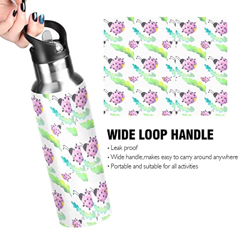 xigua Ladybug Water Bottle Double Walled Stainless Steel Leak Proof Thermo Flask for Sports Gym Cycling Outdoor,20 oz.