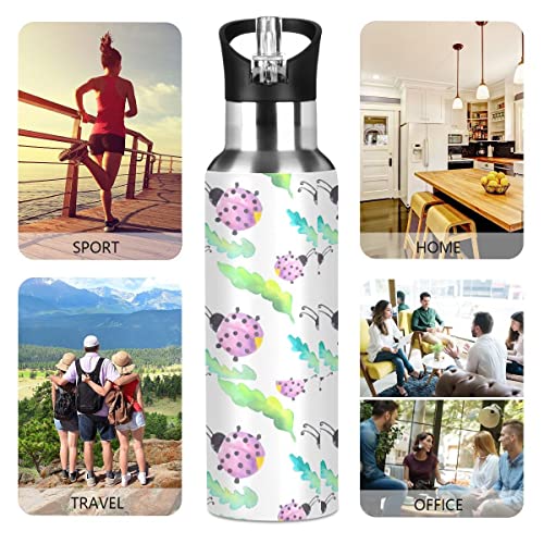 xigua Ladybug Water Bottle Double Walled Stainless Steel Leak Proof Thermo Flask for Sports Gym Cycling Outdoor,20 oz.