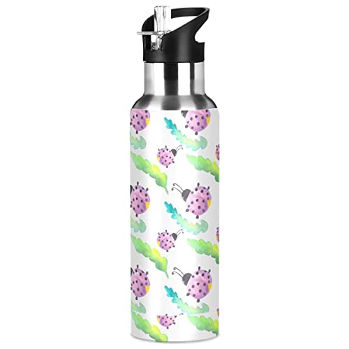 xigua Ladybug Water Bottle Double Walled Stainless Steel Leak Proof Thermo Flask for Sports Gym Cycling Outdoor,20 oz.