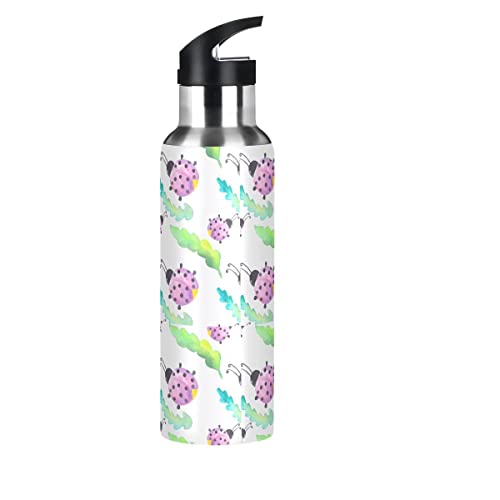 xigua Ladybug Water Bottle Double Walled Stainless Steel Leak Proof Thermo Flask for Sports Gym Cycling Outdoor,20 oz.