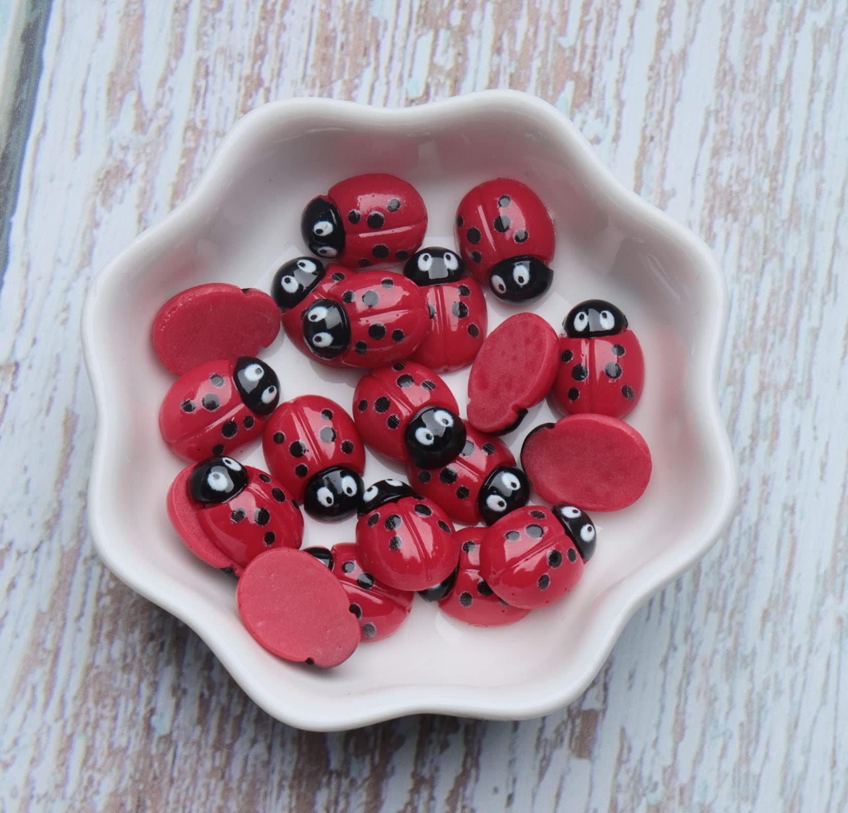 Sowaka 20 Pcs Ladybug Ornaments Tiny Resin Flatback Embellishment Fake Ladybird Decor for Hair Clip DIY Craft Art Project Home Garden Decoration Supplies Jewelry Making Scrapbooking (Small - Ladybug)
