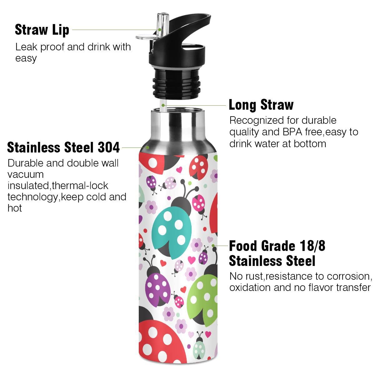 xigua Ladybug Water Bottle Double Walled Stainless Steel Leak Proof Thermo Flask for Sports Gym Cycling Outdoor,20 oz.