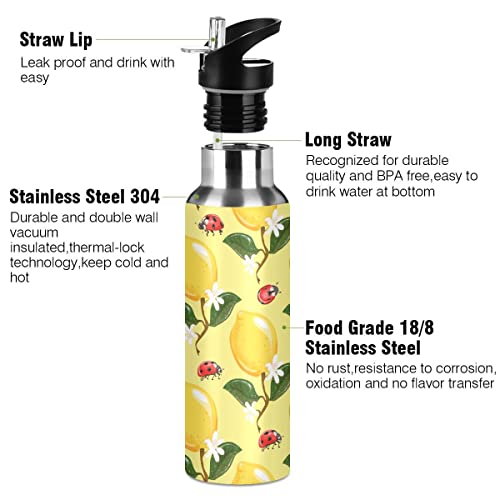 xigua Ladybug Water Bottle Double Walled Stainless Steel Leak Proof Thermo Flask for Sports Gym Cycling Outdoor,20 oz.