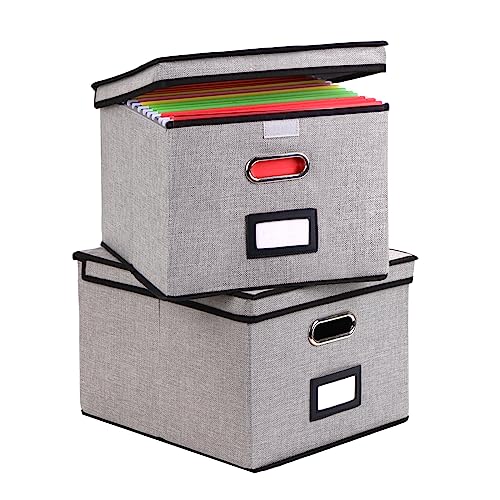 EOOUT File Organizer Box, 1pcs with Lid, Hanging File Folders, Letter Size, Foldable Document Organizer, Home Office, Gray
