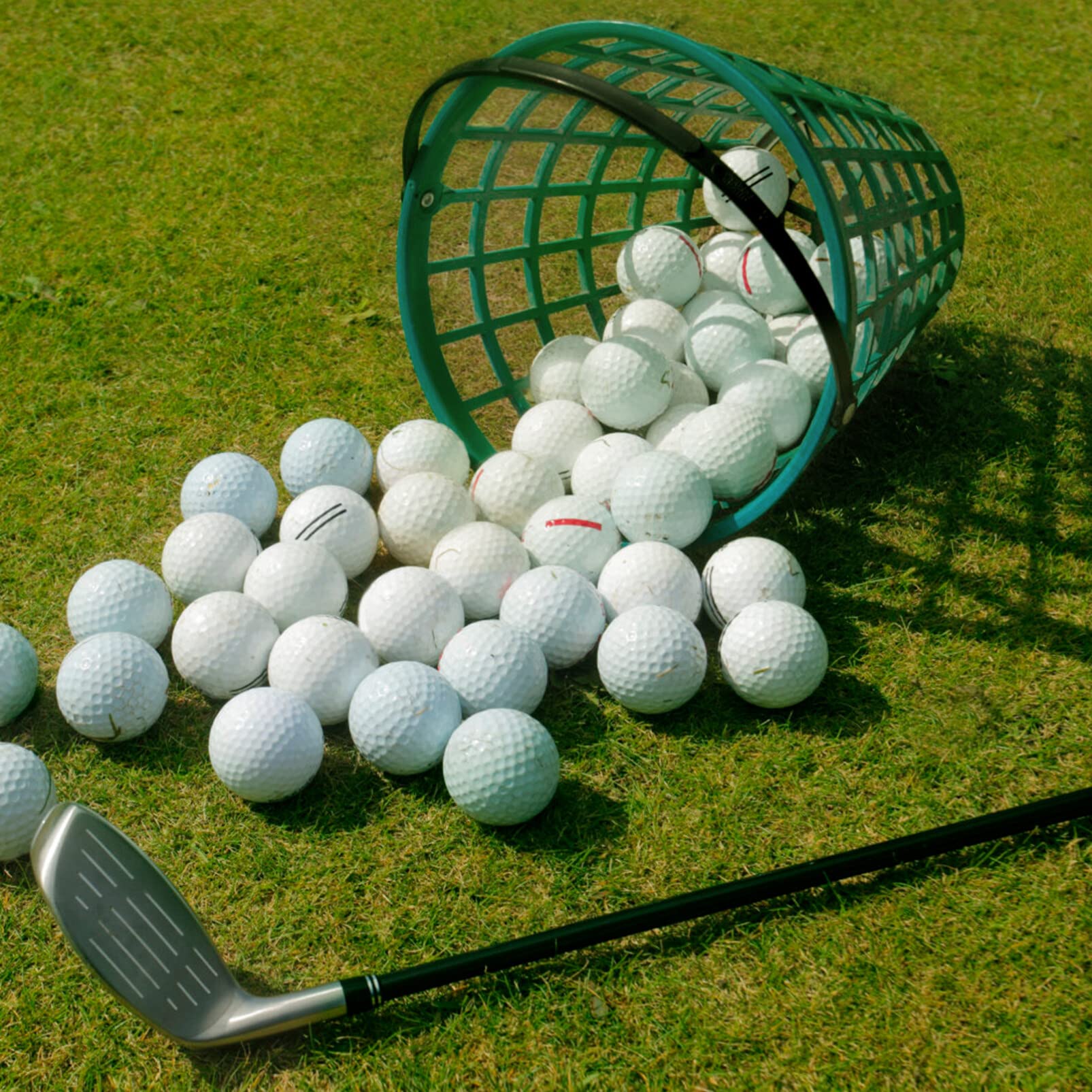 Toddmomy 1pcs Golf Ball Basket,Plastic Golf Ball Bucket Golfball Storage Container with Handle for Outdoor Sport Stadium Accessories,50pcs Ball