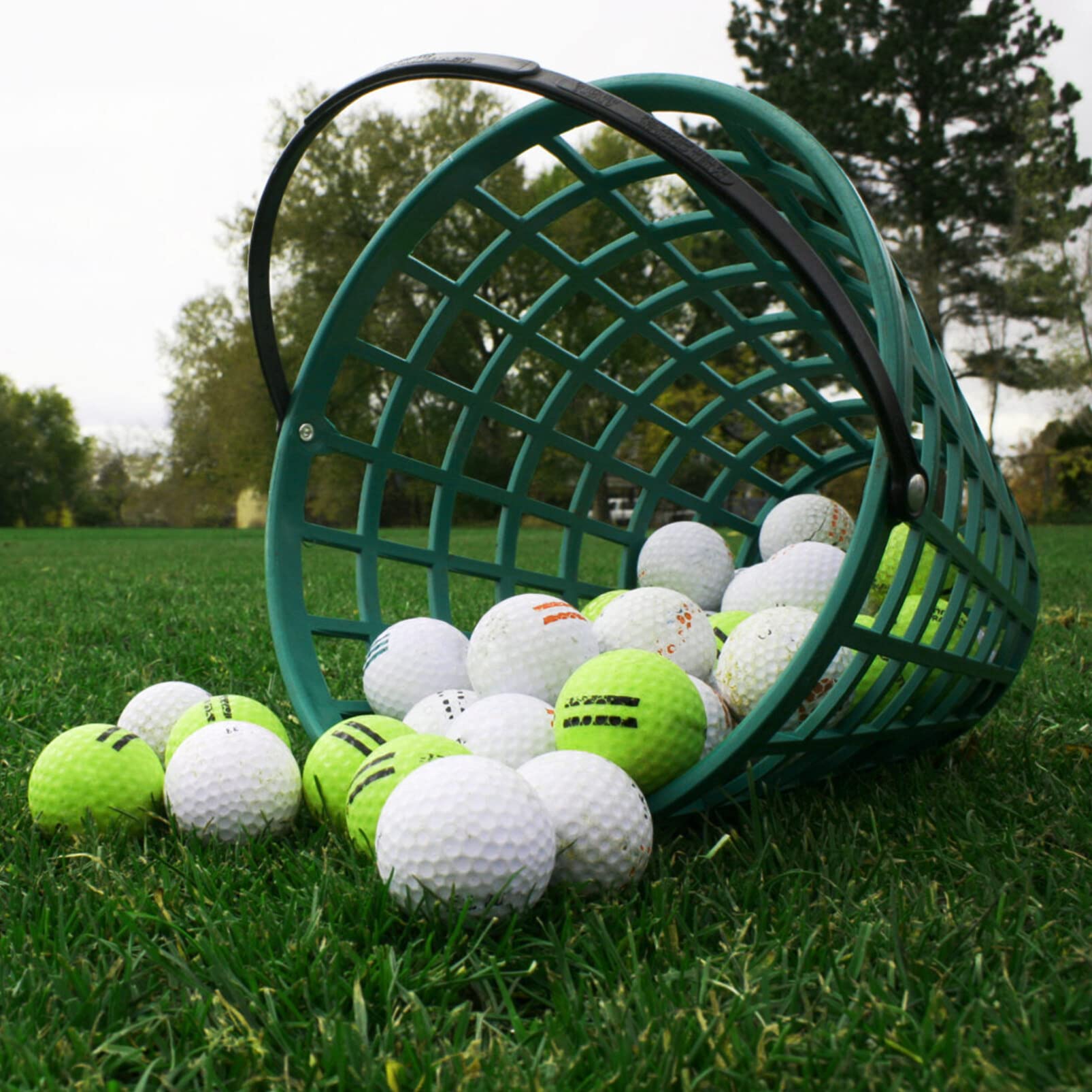 Toddmomy 1pcs Golf Ball Basket,Plastic Golf Ball Bucket Golfball Storage Container with Handle for Outdoor Sport Stadium Accessories,50pcs Ball