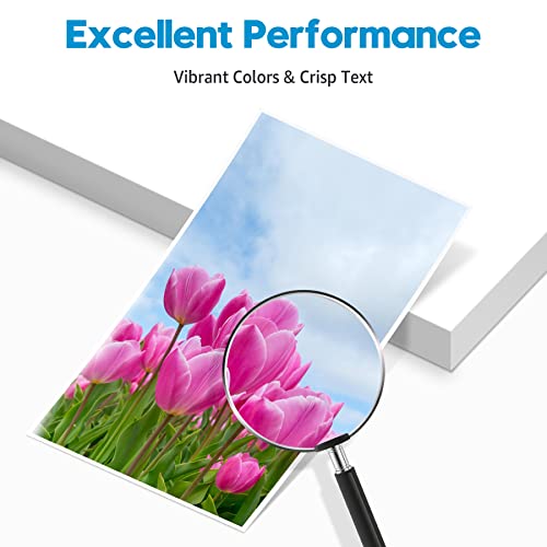 202A 202X Toner Cartridge 5 Pack Compatible Replacement for HP 202A CF500A 202X Laserjet Pro MFP M281fdw M281cdw M281fdn M254dw M254nw M254dn M281 Toner Printer (2 Black, 1 Cyan, 1 Yellow, 1 Magenta)