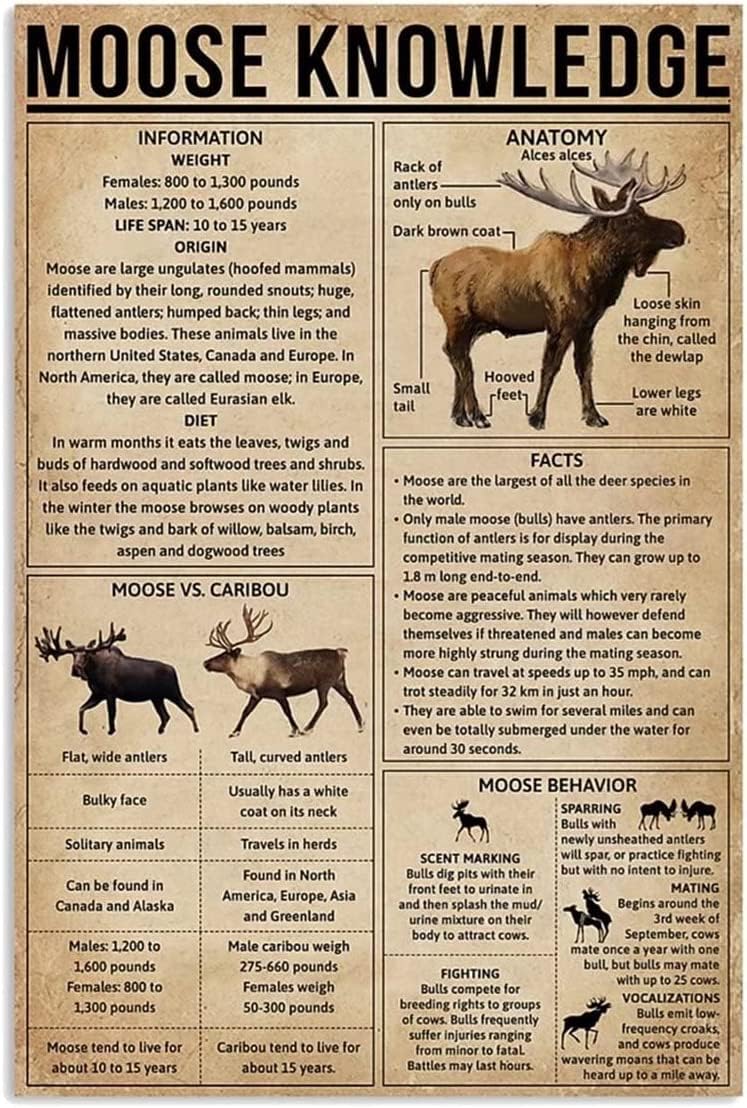 Anatomy Of A Moose Canvas Wall Art Moose Knowledge Painting Frameless Posters Home Decor Artwork Printed Gifts Decor Living Room Bedroom 16x20inch